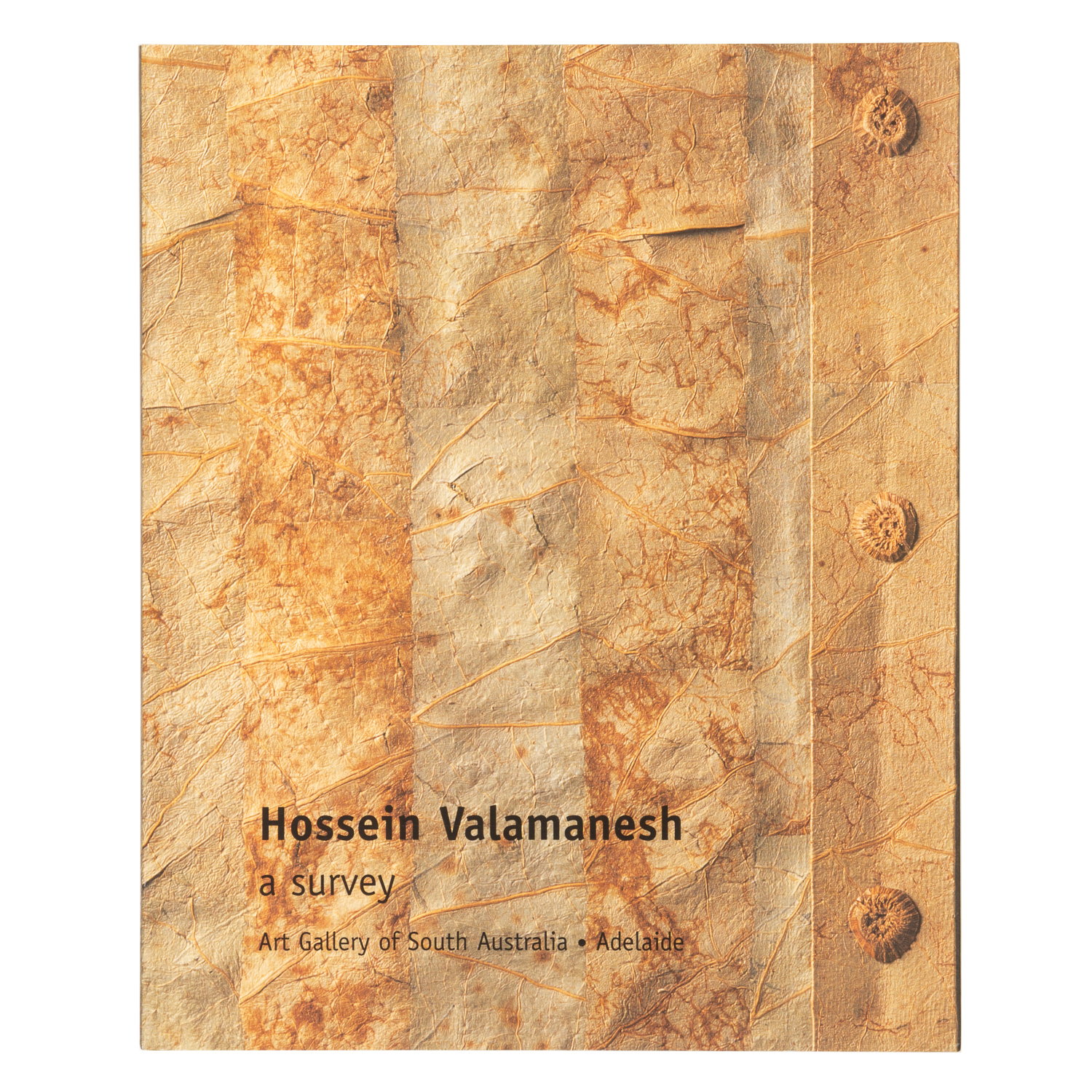 Hossein Valamanesh : a survey - Douglas Stewart Fine Books